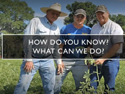 MassGrown Wellness Peer Support Network | Mass.gov